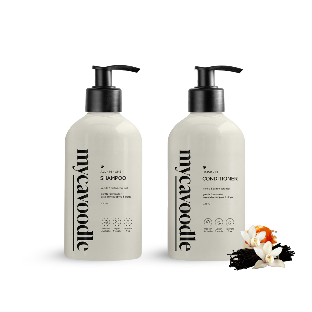Shampoo & Conditioner Set - Vanilla & Salted Caramel 330ml